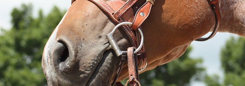 Western Bits – Greenhawk Equestrian Sport