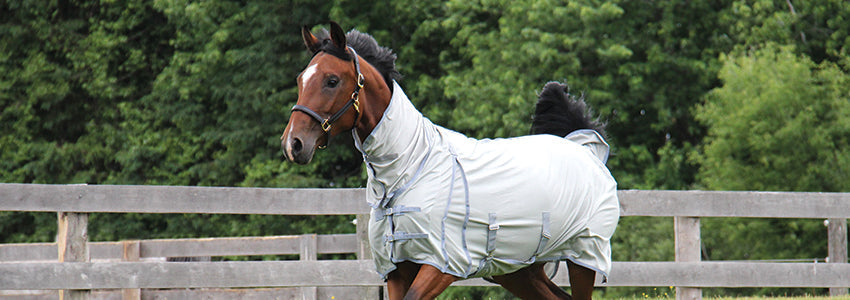 Fly Sheets – Greenhawk Equestrian Sport