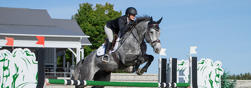 Show Apparel – Page 4 – Greenhawk Equestrian Sport