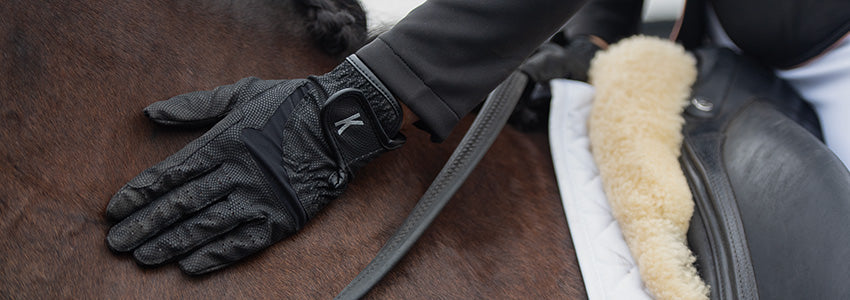 Show Gloves – Greenhawk Equestrian Sport