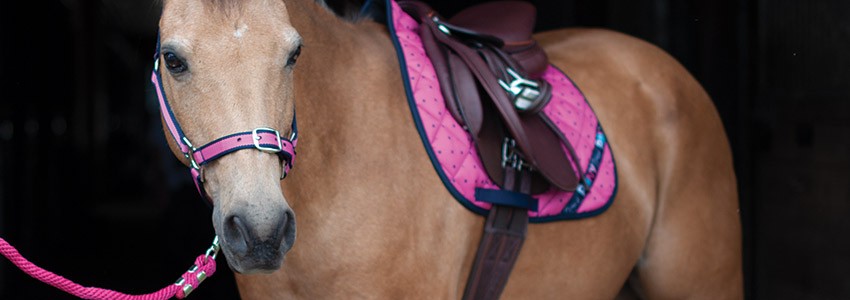 Pony Tack & Equipment – Greenhawk Equestrian Sport