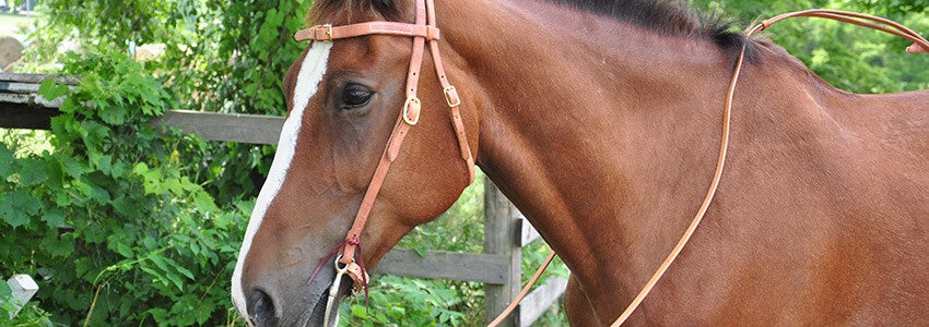 Draft Tack & Equipment – Greenhawk Equestrian Sport