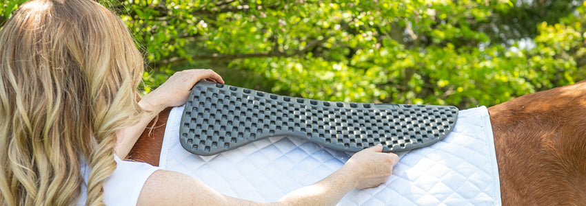 Collections – Greenhawk Equestrian Sport