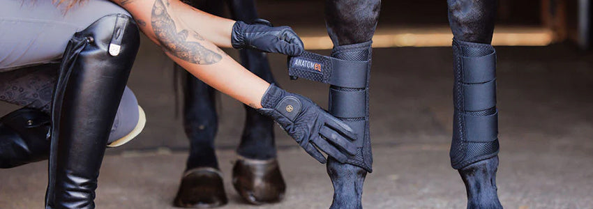 Collections – Greenhawk Equestrian Sport