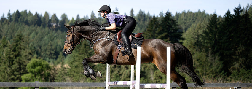 Beat The Heat! – Greenhawk Equestrian Sport