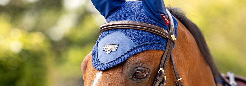 Benetton Blue – Greenhawk Equestrian Sport