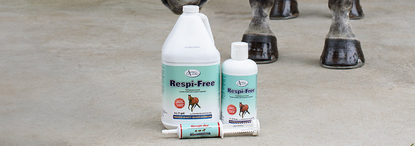 Cold & Flu Season – Page 3 – Greenhawk Equestrian Sport