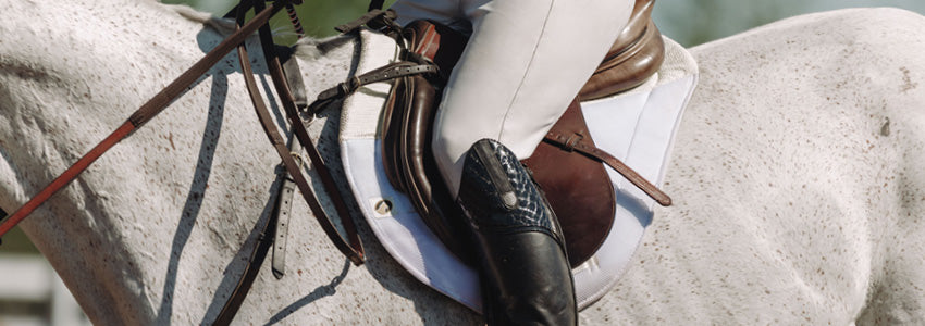 EcoGold – Greenhawk Equestrian Sport