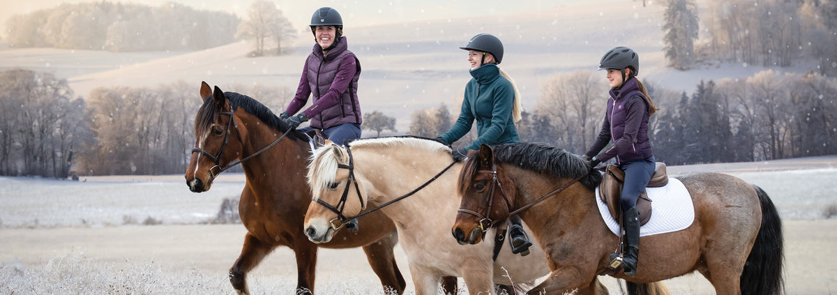 Greenhawk – Greenhawk Equestrian Sport