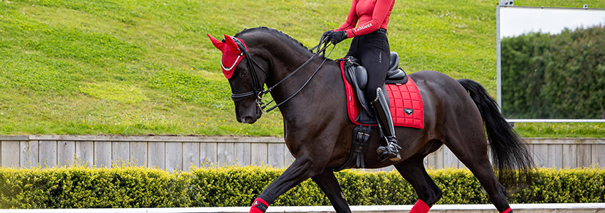 Just Added! New Black Friday Cyber Monday Sale Additions – Page 3 ...