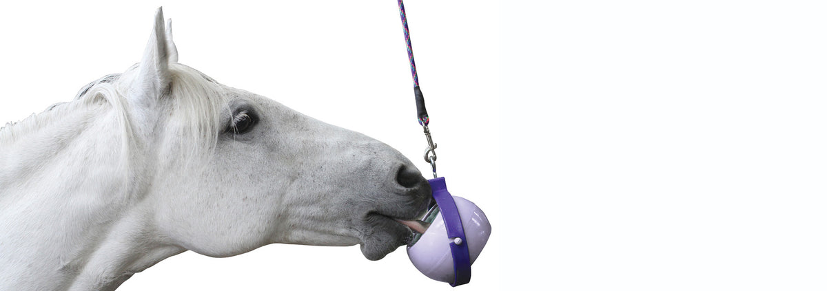 Likit – Greenhawk Equestrian Sport