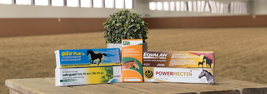 Spring Health Care – Greenhawk Equestrian Sport