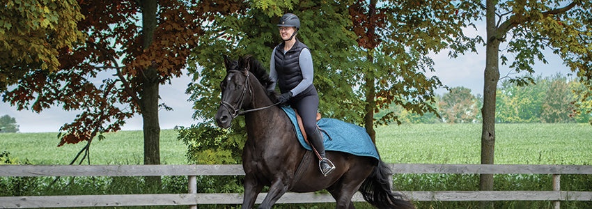 Limited Edition Windward Teal Collection – Greenhawk Equestrian Sport