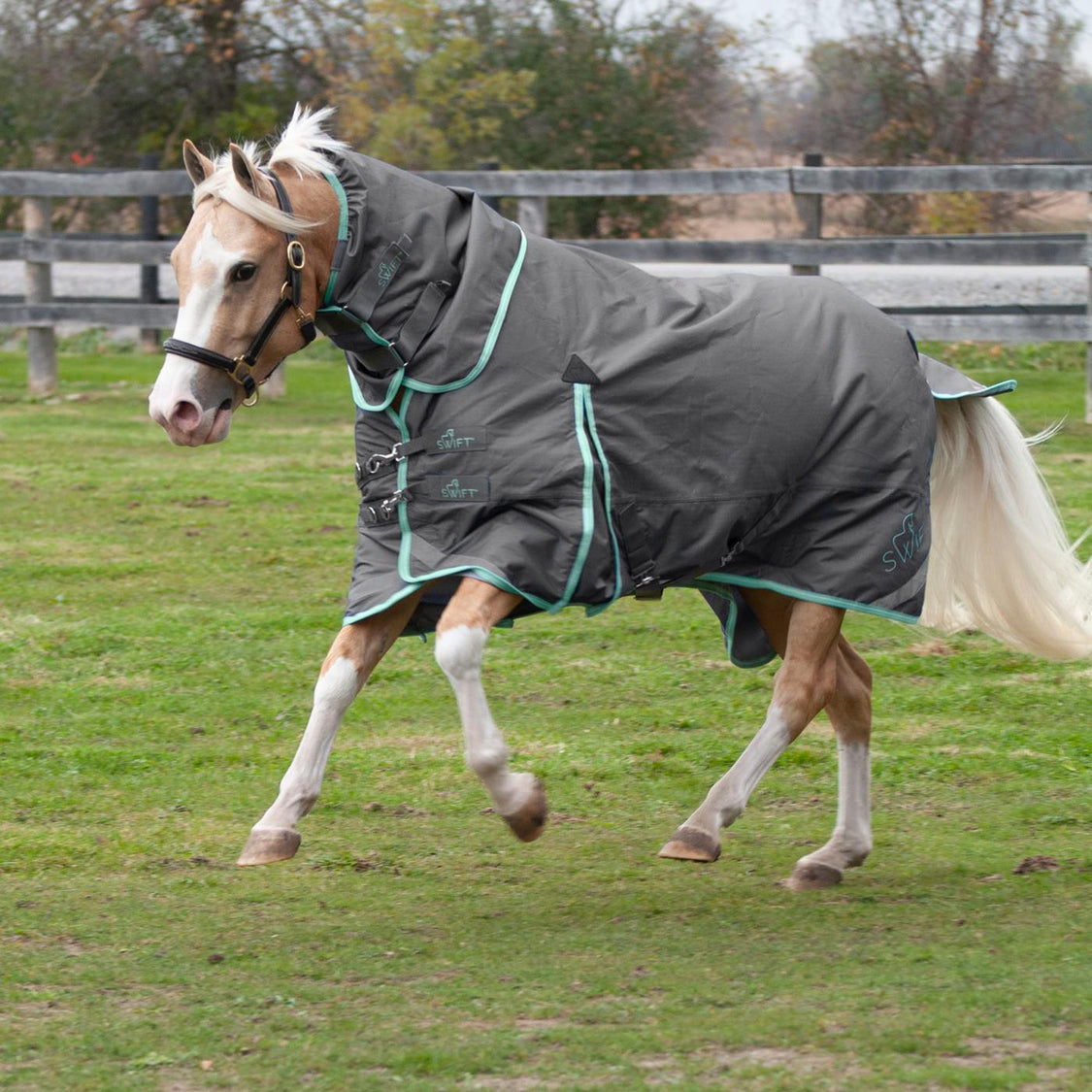 Rain Sheets – Greenhawk Equestrian Sport