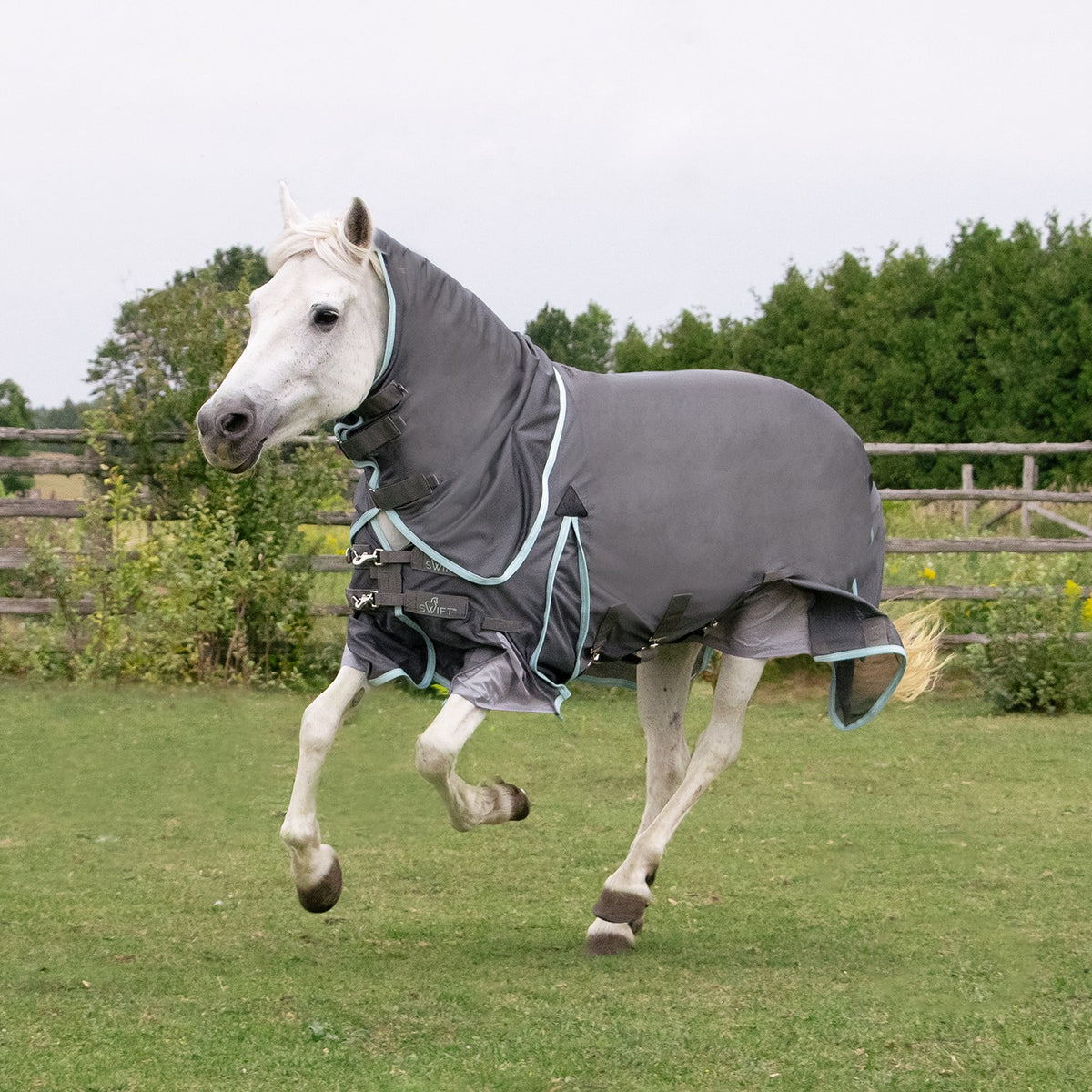 Swift Pony Fly Sheet W/ Detachable Hood – Greenhawk Equestrian Sport