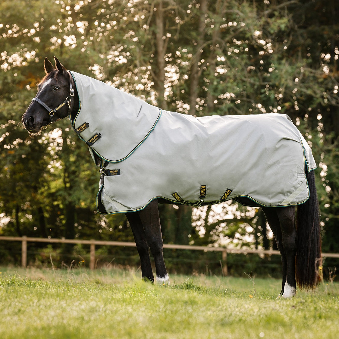 Greenhawk Equestrian Sport: Canada's #1 Online Equestrian Shop