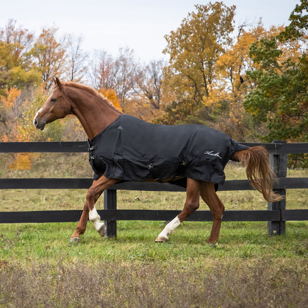 Rain Sheets – Greenhawk Equestrian Sport