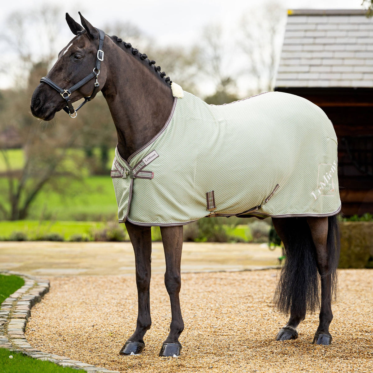 LeMieux Kudos Bamboo Cooler Rug – Greenhawk Equestrian Sport