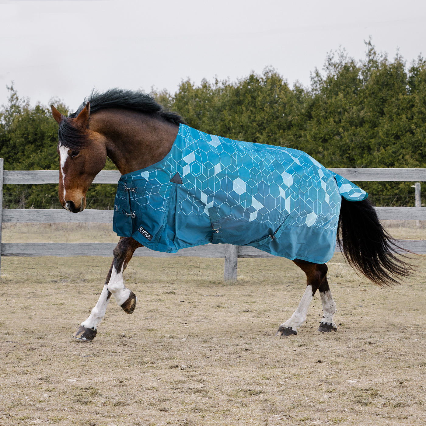 Rain Sheets – Greenhawk Equestrian Sport