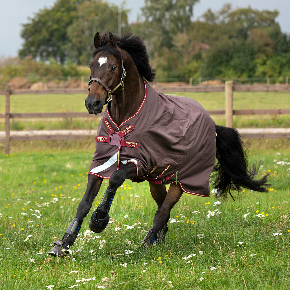 Collections – Greenhawk Equestrian Sport