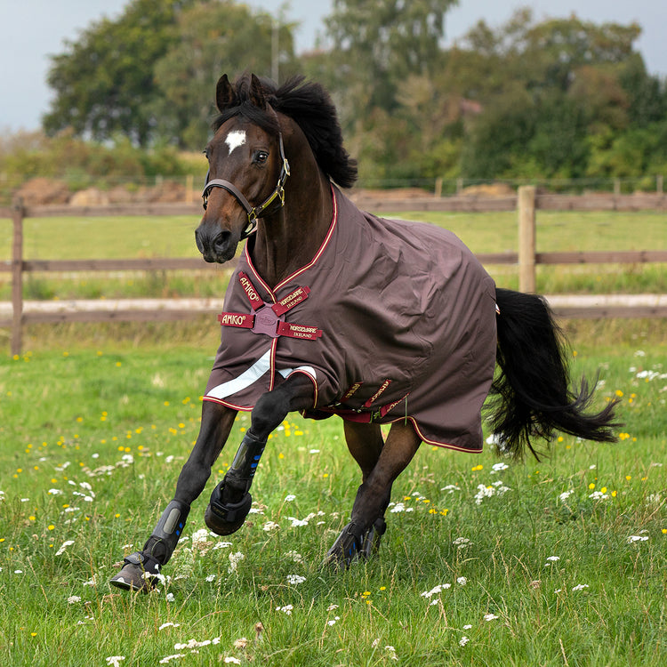 Collections – Greenhawk Equestrian Sport