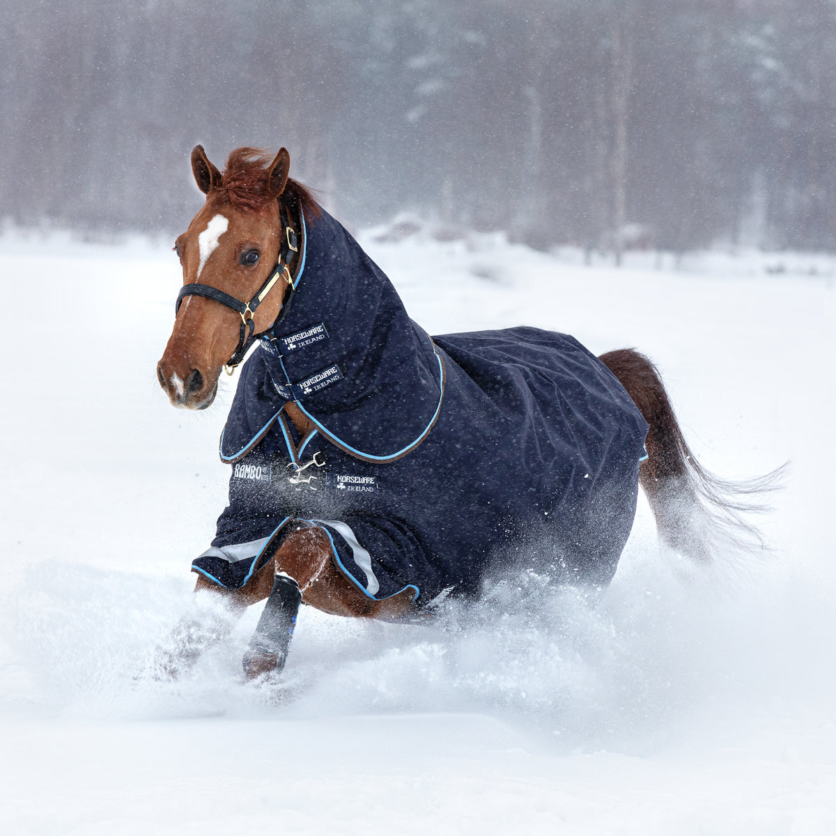 Rambo Duo Plus Turnout Blanket – Greenhawk Equestrian Sport