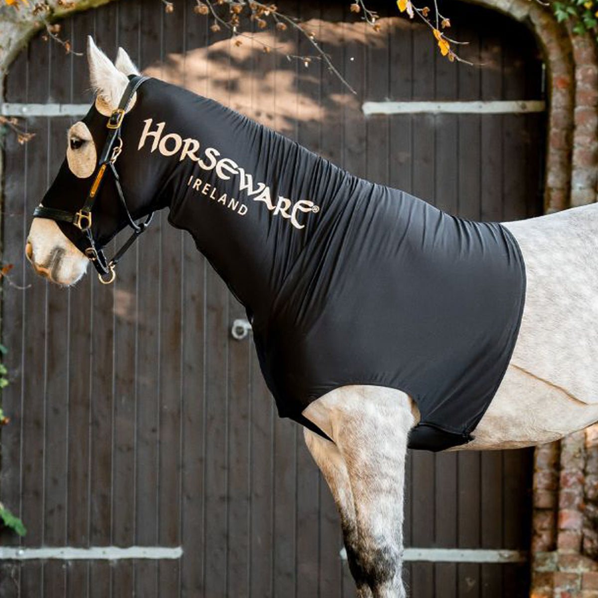 Rambo Slinky Hood – Greenhawk Equestrian Sport