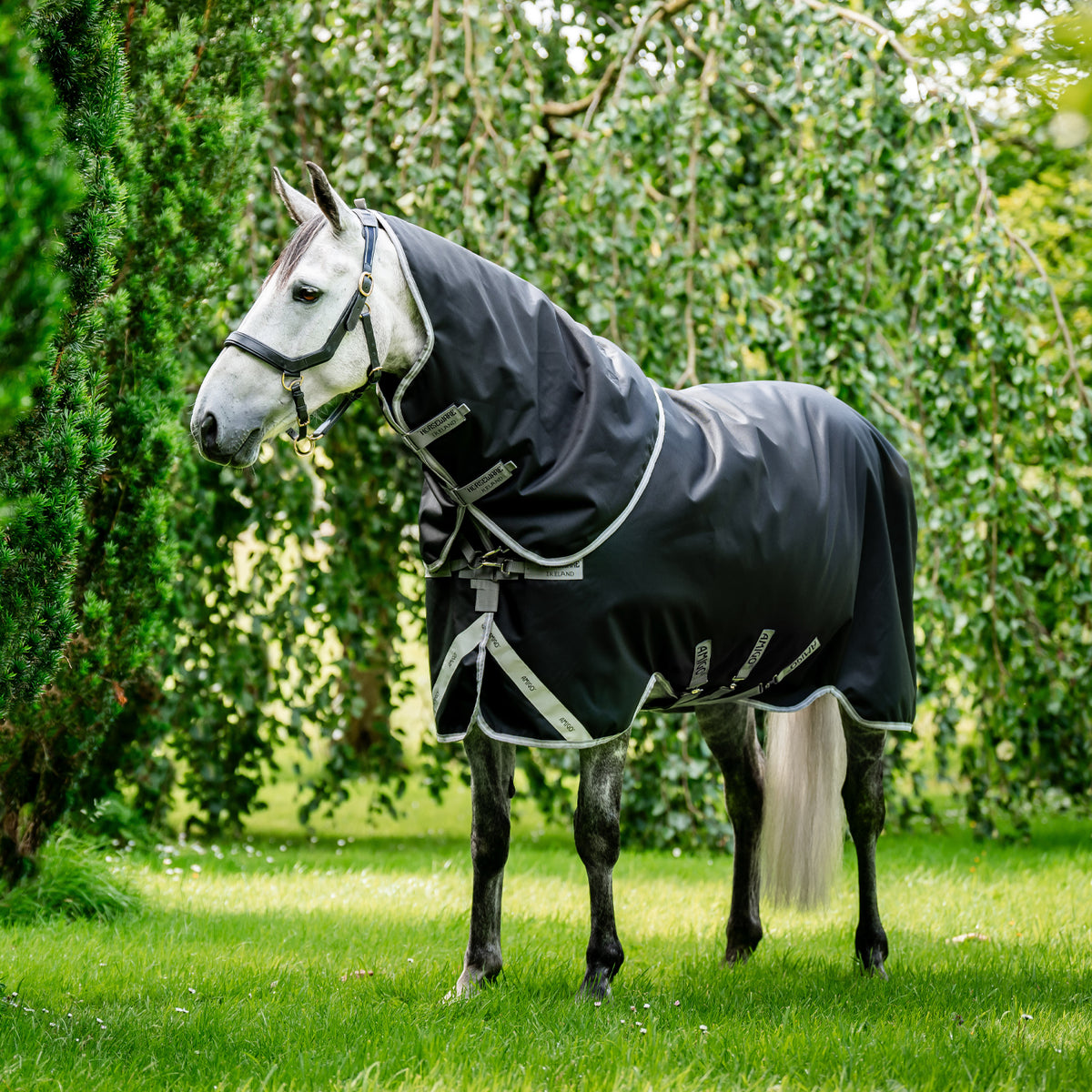 Couverture de sortie Amigo Plus 1200D 0 g – Greenhawk Equestrian Sport