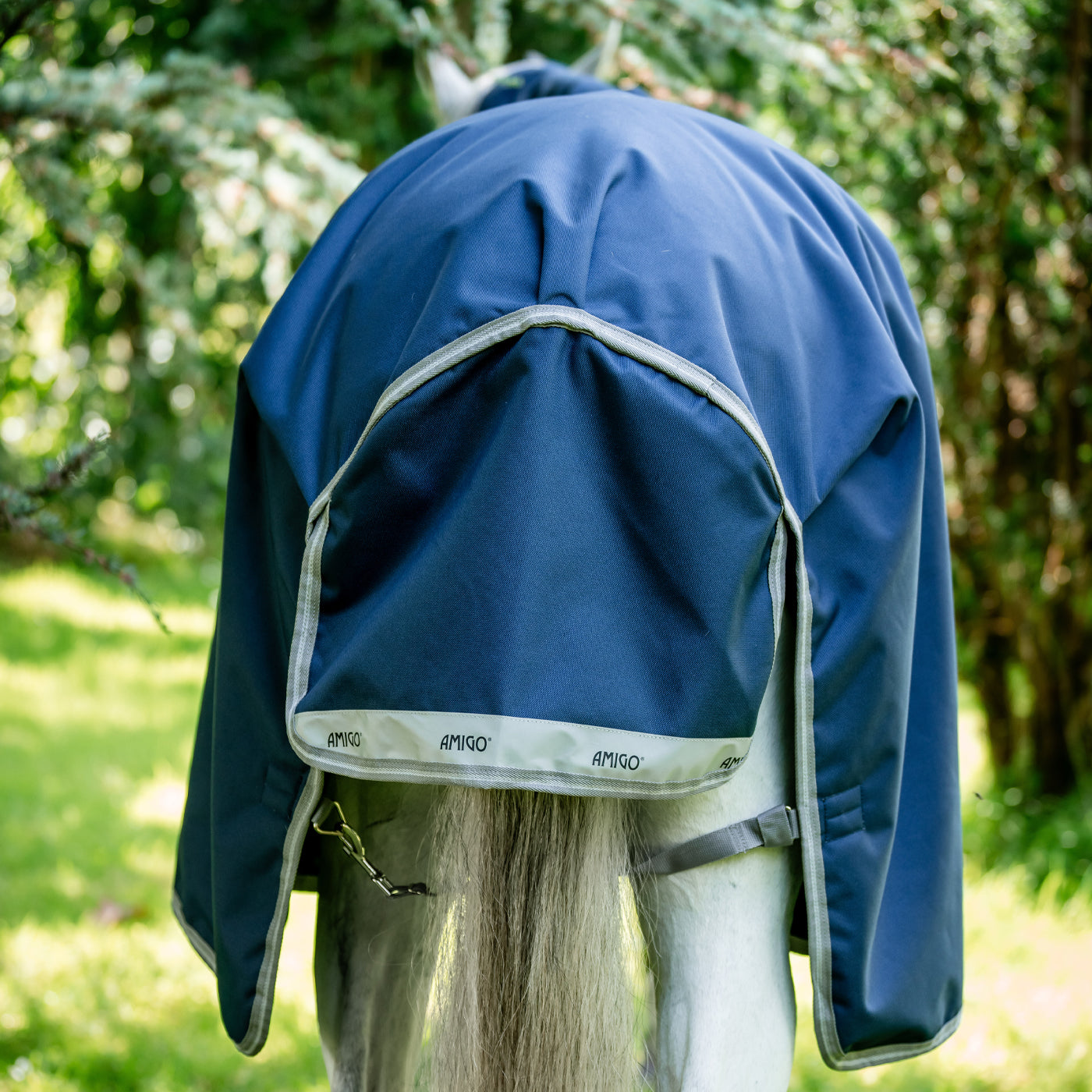 Amigo Bravo 12 Original Turnout Blanket 100 g – Greenhawk Equestrian Sport