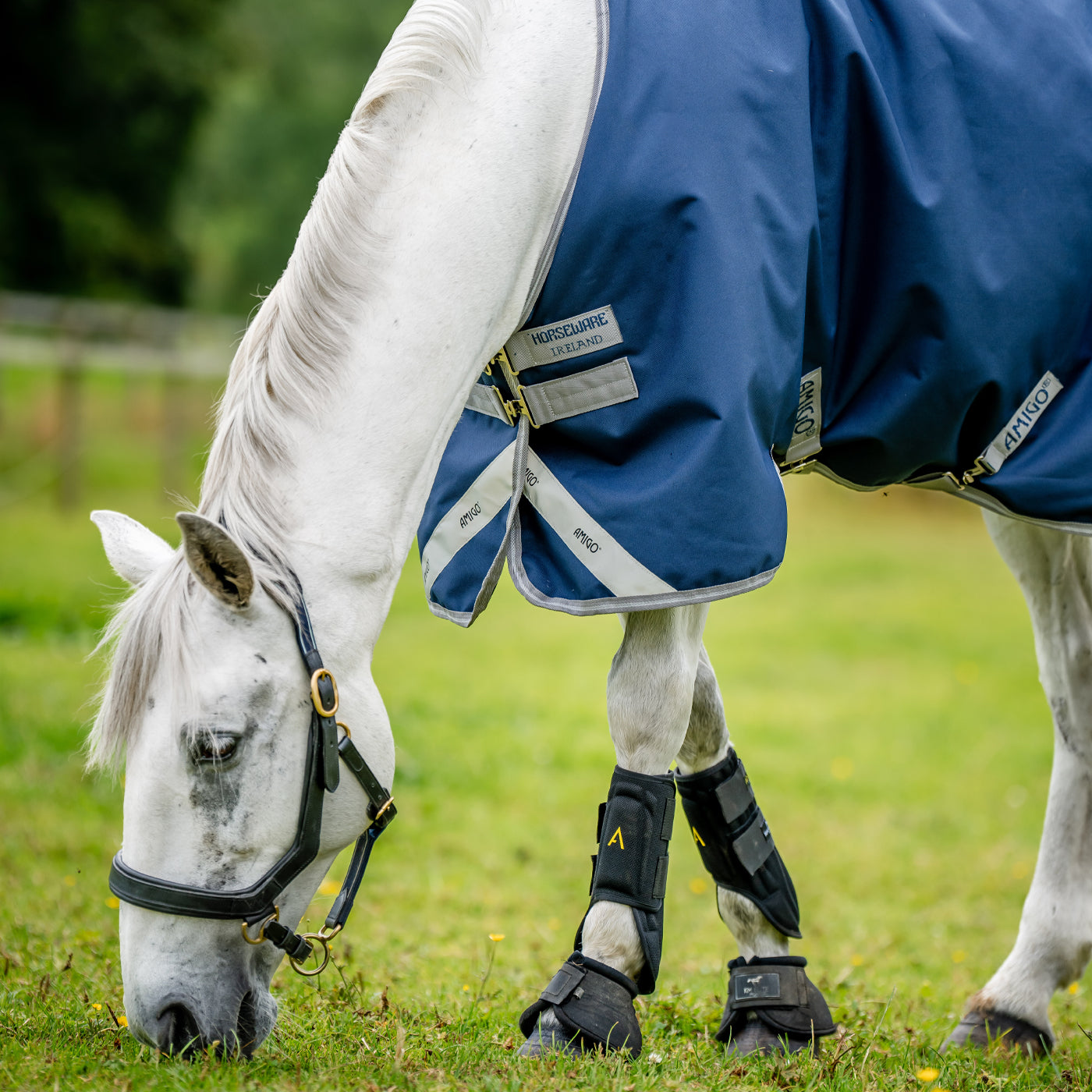 Amigo Bravo 12 Original Turnout Blanket 100 g – Greenhawk Equestrian Sport