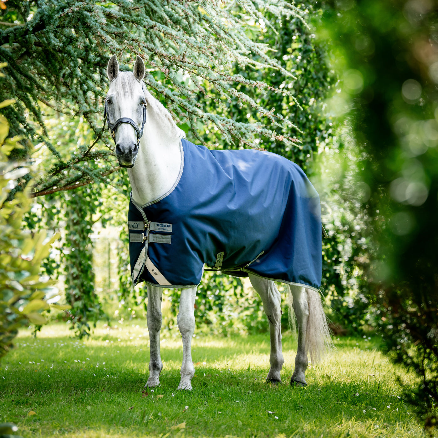 Amigo Bravo 12 Original Turnout Blanket 100 g – Greenhawk Equestrian Sport