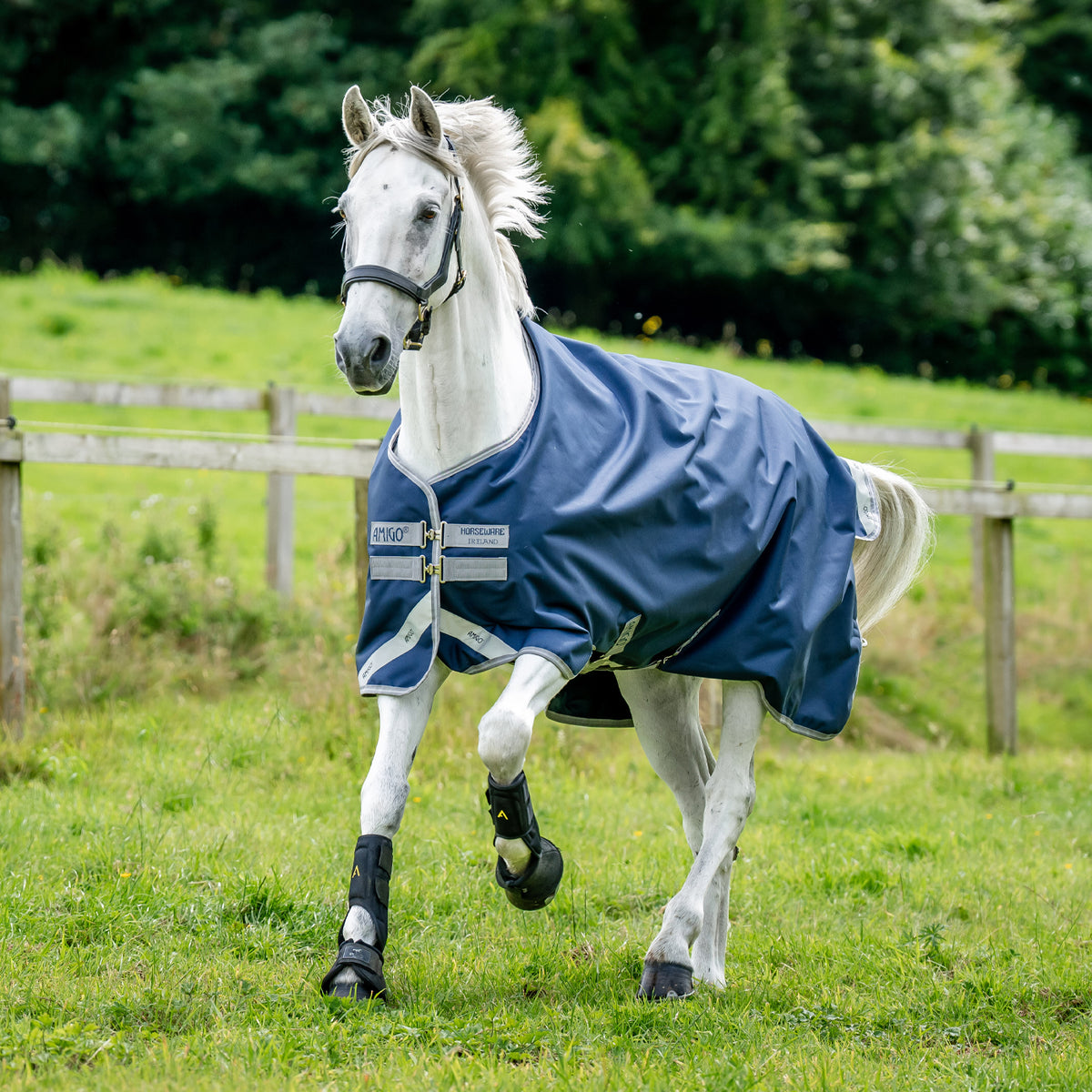 Amigo Bravo 12 Original Turnout Blanket 50 g – Greenhawk Equestrian Sport