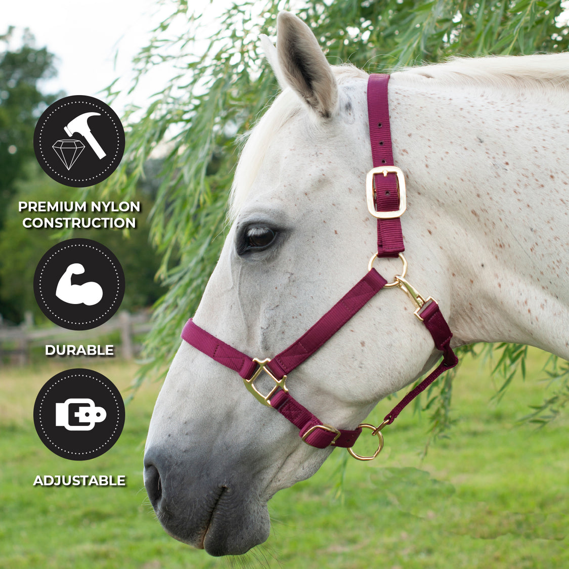 Shedrow Deluxe Halter – Greenhawk Equestrian Sport