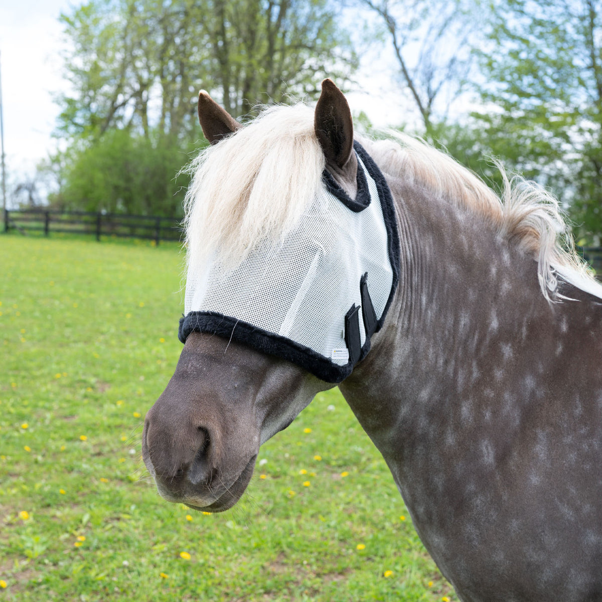 Tough1 Miniature Fly Mask W/ No Ears – Greenhawk Equestrian Sport