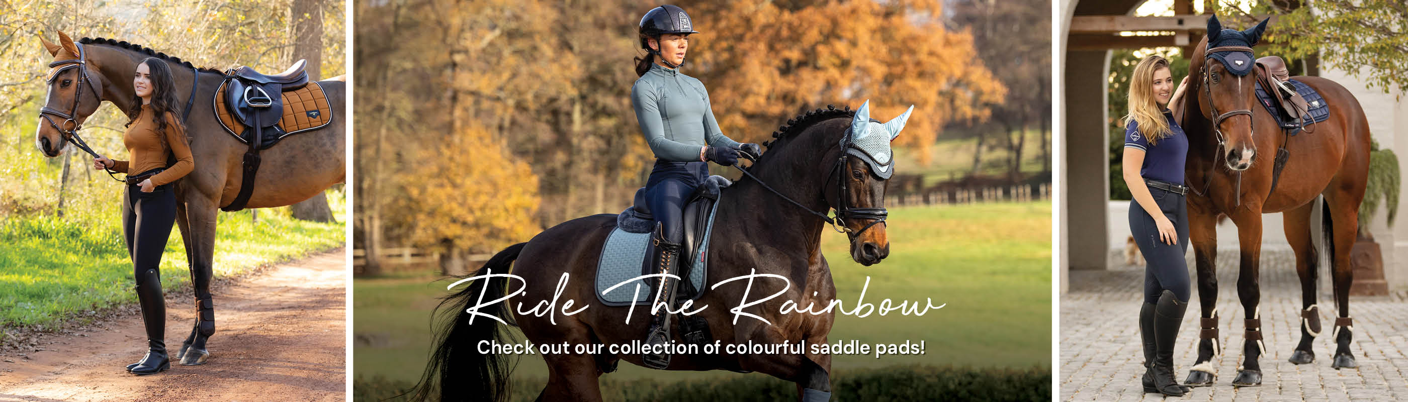 Greenhawk Equestrian Sport: Canada's #1 Online Equestrian Shop