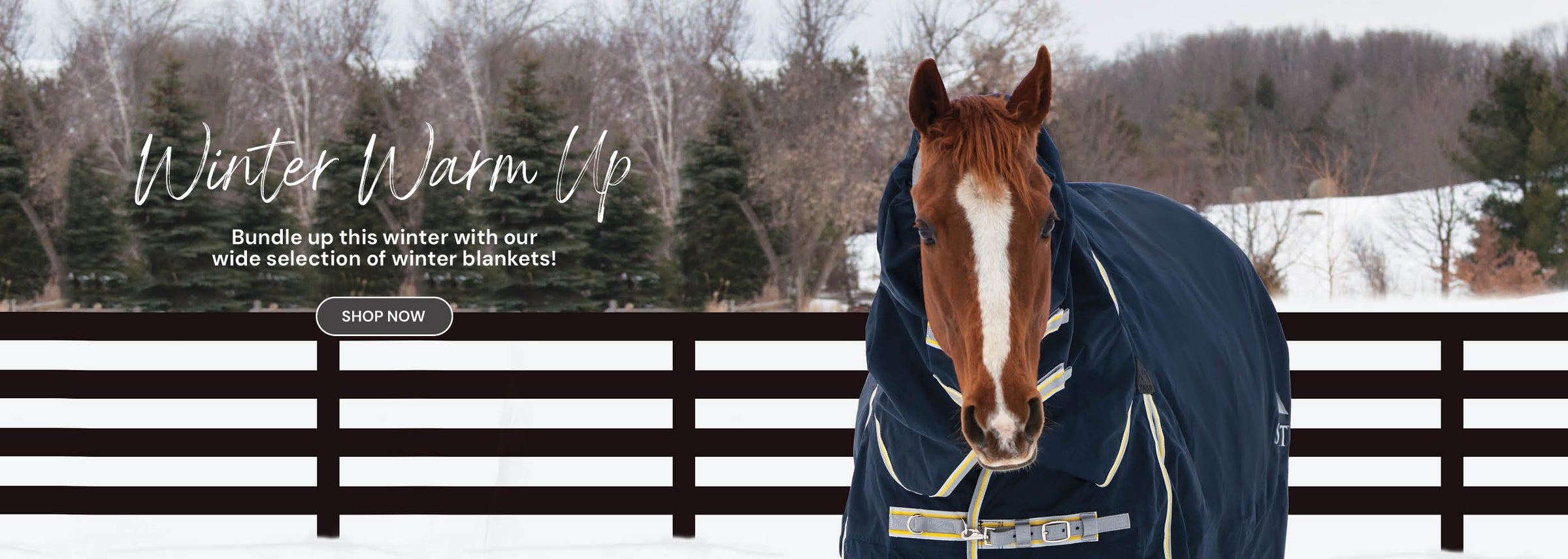 Greenhawk Equestrian Sport: Canada's #1 Online Equestrian Shop