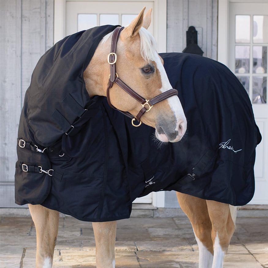Greenhawk Equestrian Sport: Canada's #1 Online Equestrian Shop