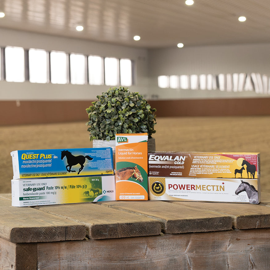 Greenhawk Equestrian Sport: Canada's #1 Online Equestrian Shop