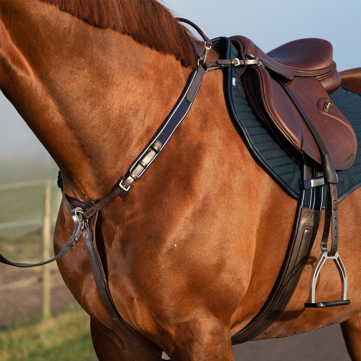 Rambo Micklem Breastplate – Greenhawk Equestrian Sport