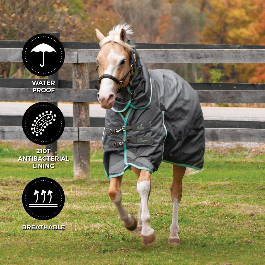 Rain Sheets – Greenhawk Equestrian Sport