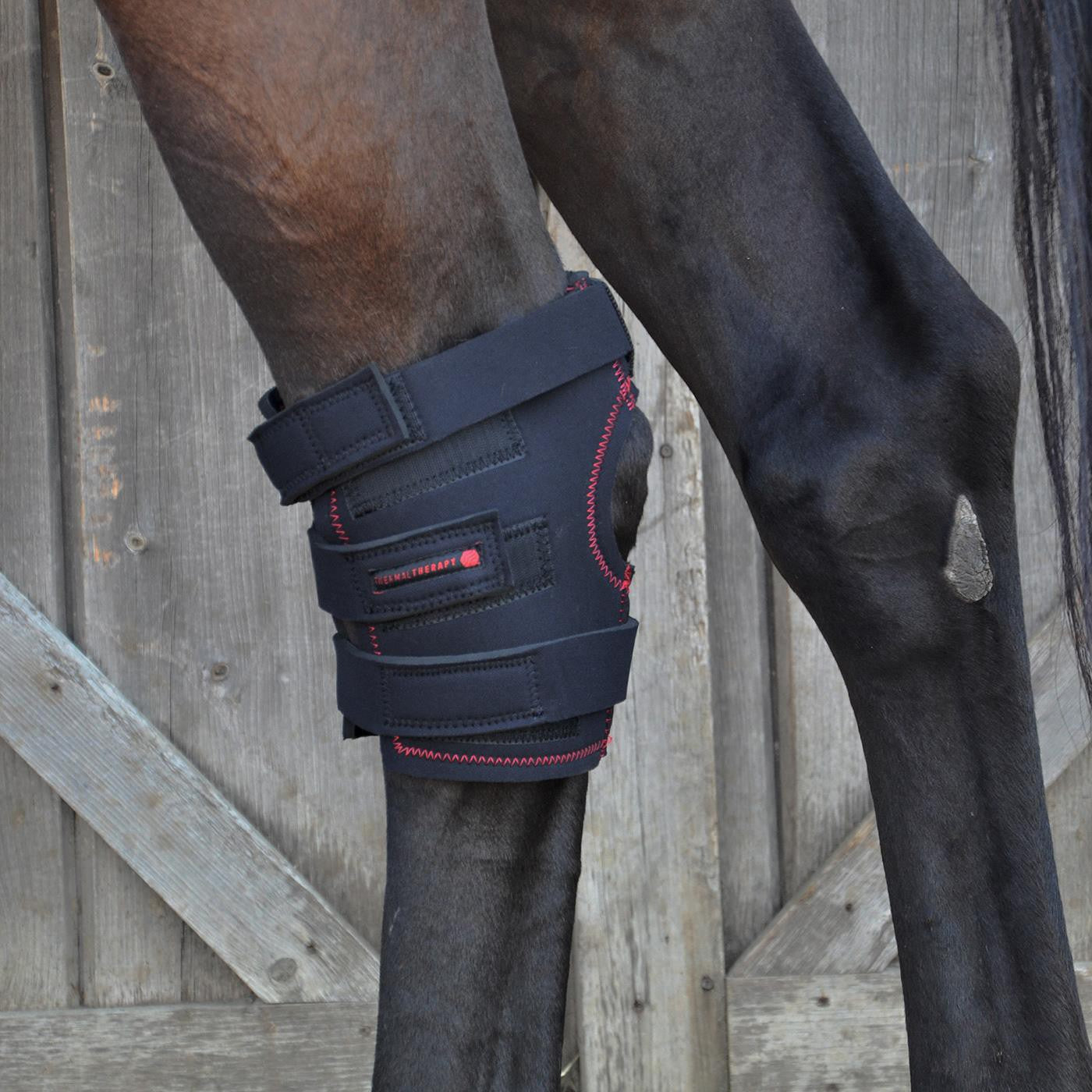 Thermal Therapy Hock Wraps – Greenhawk Equestrian Sport