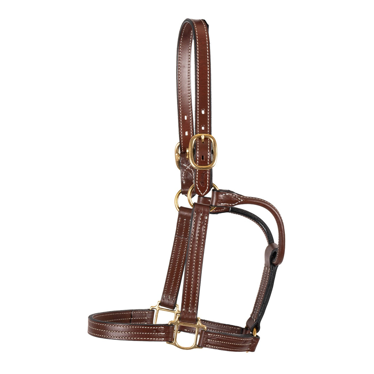 Weaver Leather Thoroughbred Halter – Greenhawk Equestrian Sport
