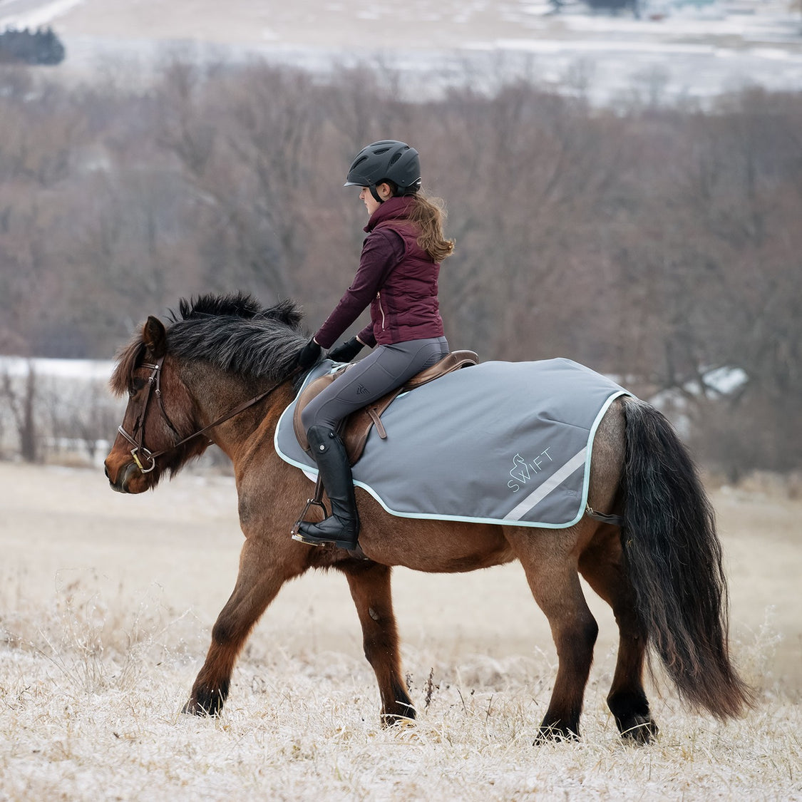 Swift Pony Exercise Sheet – Greenhawk Equestrian Sport